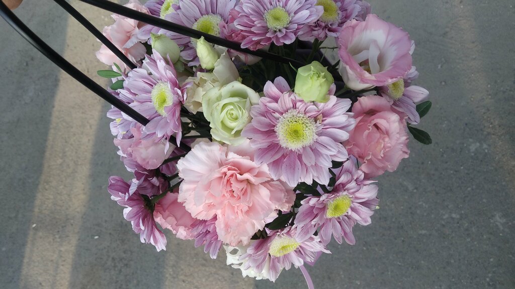 Çiçekçiler Мак Красный, Krasnodar, foto