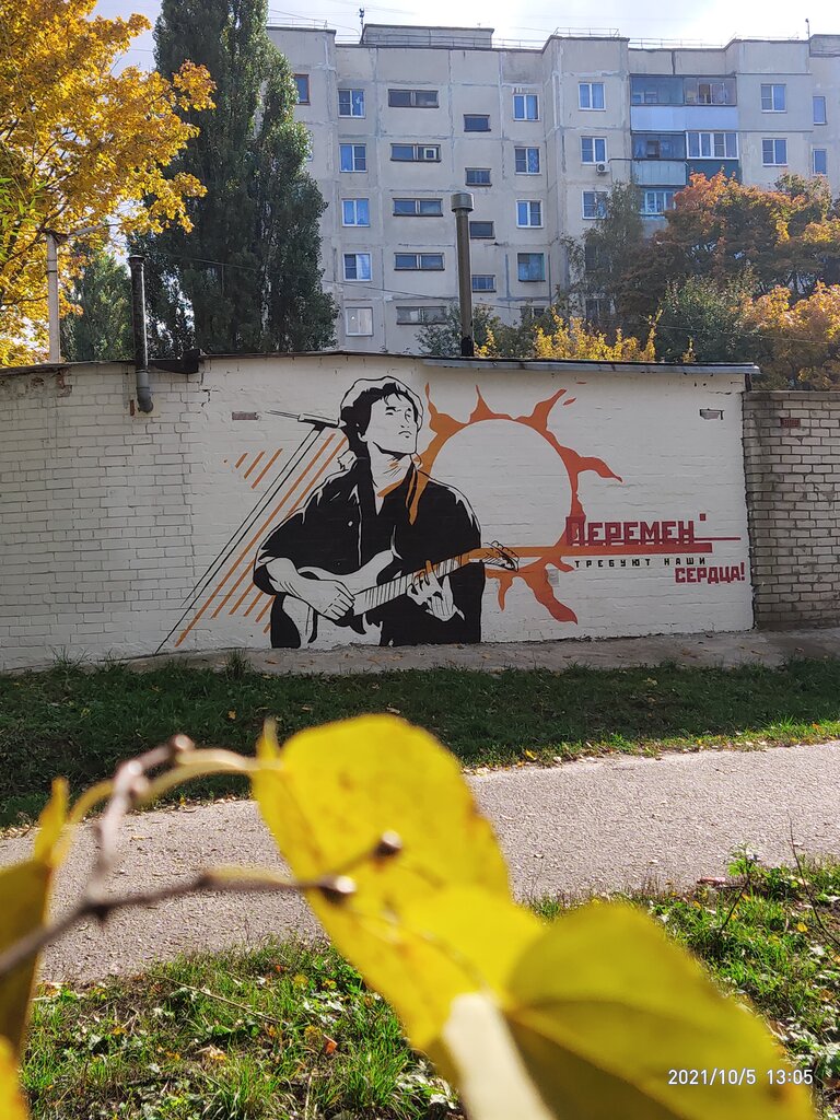 Sokak sanatı Виктор Цой, Kursk, foto