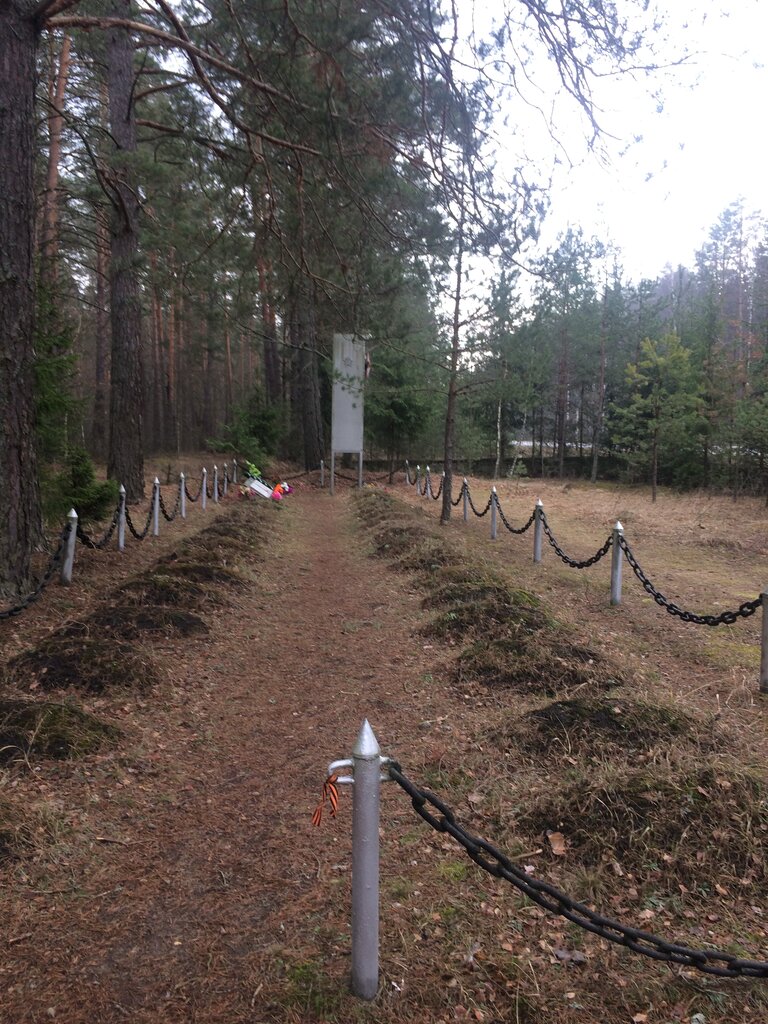 Anıt, heykel Братская могила воинов и партизан, Trubçevsk, foto