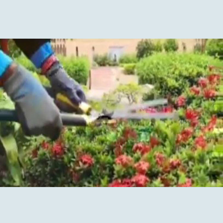 Temizlik şirketleri Colinteg, Bucaramanga, foto