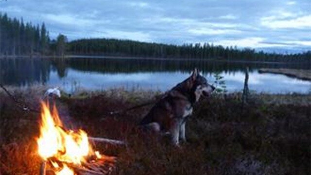 Spor mağazaları Järvsö jakt och fritid, Gavleborg Vilayeti, foto