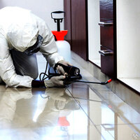 Haşere ilaçlama firmaları Bedbugs Cockroaches Stop, Krasnoyarsk, foto
