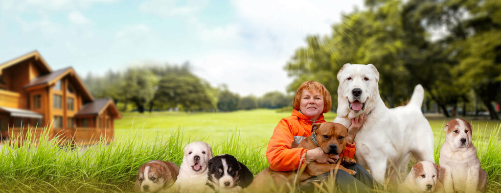 Evcil hayvan yetiştiricileri Triple Thrust, Nijegorodskaya oblastı, foto