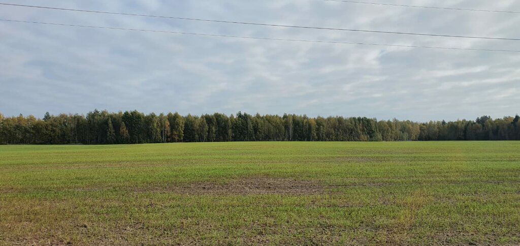 Satış ofisi Коттеджный поселок Сёмкина Роща, отдел продаж, Riazanskaya oblastı, foto