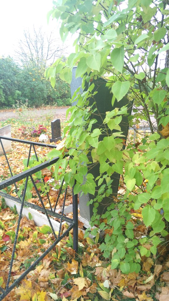 Anıt, heykel Братское захоронение, Pskovskaya oblastı, foto