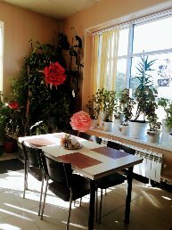 Kafe Cafe, Voronejskaya oblastı, foto