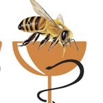 Asal Ari Shifo (Shifokor koʻchasi No:39, Urban Settlement of Zavroq), hastaneler  Andican eyaletinden