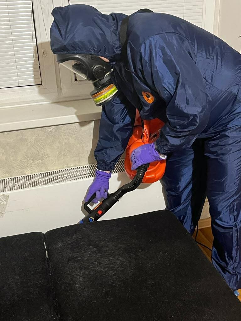 Haşere ilaçlama firmaları Disinfect, Saint‑Petersburg, foto