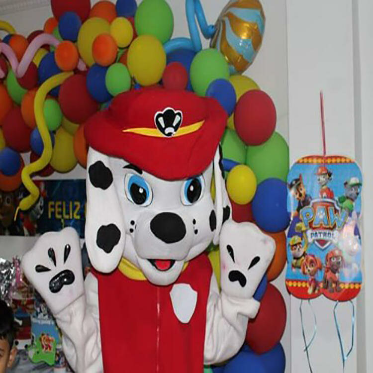 Etkinlik organizasyonu Alegrijes, Medellin, foto