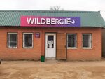 Wildberries (pereulok Parinova No:16, selo Sadovoye), teslimat noktası  Kalmukya'dan