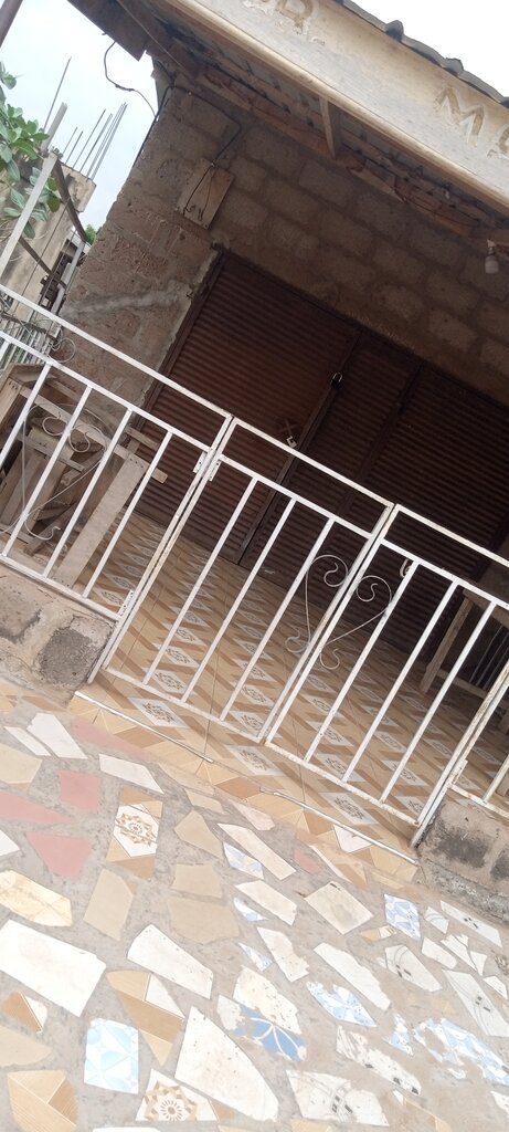 Terziler God's time is the best, Dünya, foto