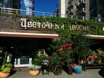 Tsvetochny dvorik (Vyazovaya Street No:10), çiçekçiler  Saint‑Petersburg'dan