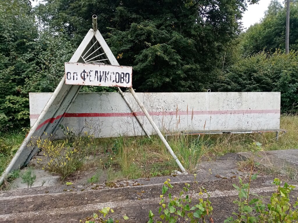 Yük istasyonu остановочный пункт Феликсово, Kalujskaya oblastı, foto