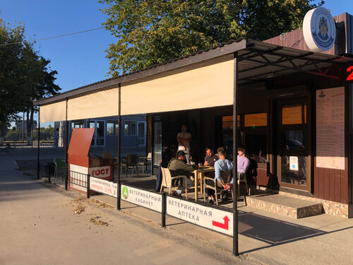 Kahve dükkanları Котофейня, Kırım Cumhuriyeti, foto