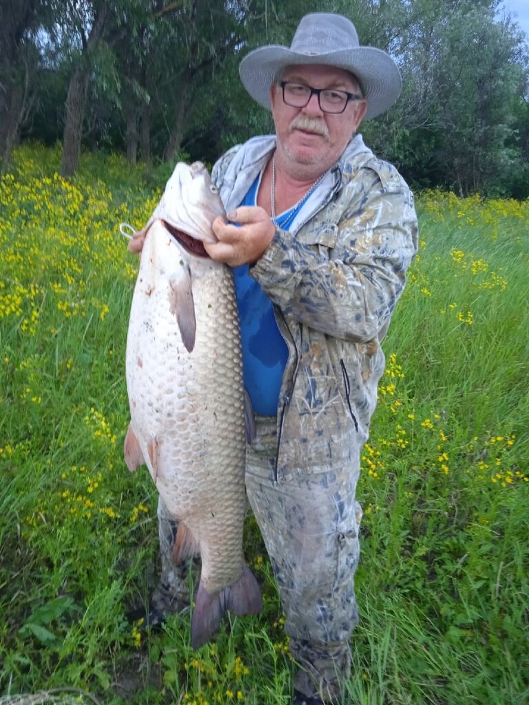 Resort oteller, tesisler Baza Partizan in hutor Gromov, Astrahanskaya oblastı, foto