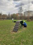 Dog park (Moscow, Zapadniy Administrative District, Novo-Peredelkino District), köpek gezdirme alanları  Moskova'dan