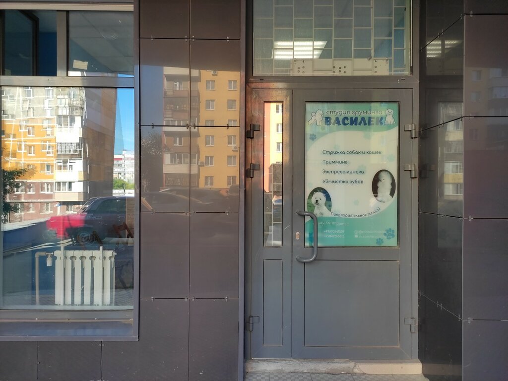 Evcil hayvan kuaförleri Надя и собаки, Nijni Novgorod, foto