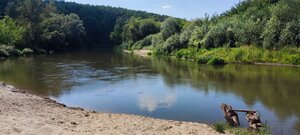 Пляж Белородничный (Penza Region, Gorodishchenskiy rayon), plaj  Sursk'tan