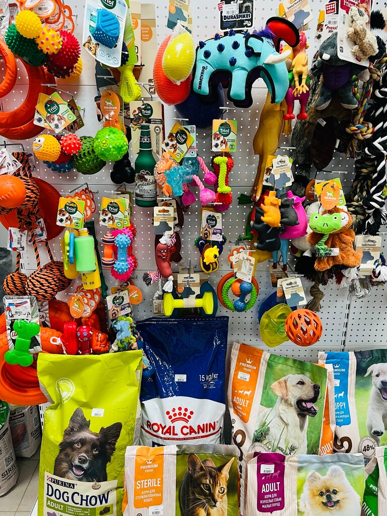 Petshop AlphaDog, Saint‑Petersburg ve Leningradskaya oblastı, foto