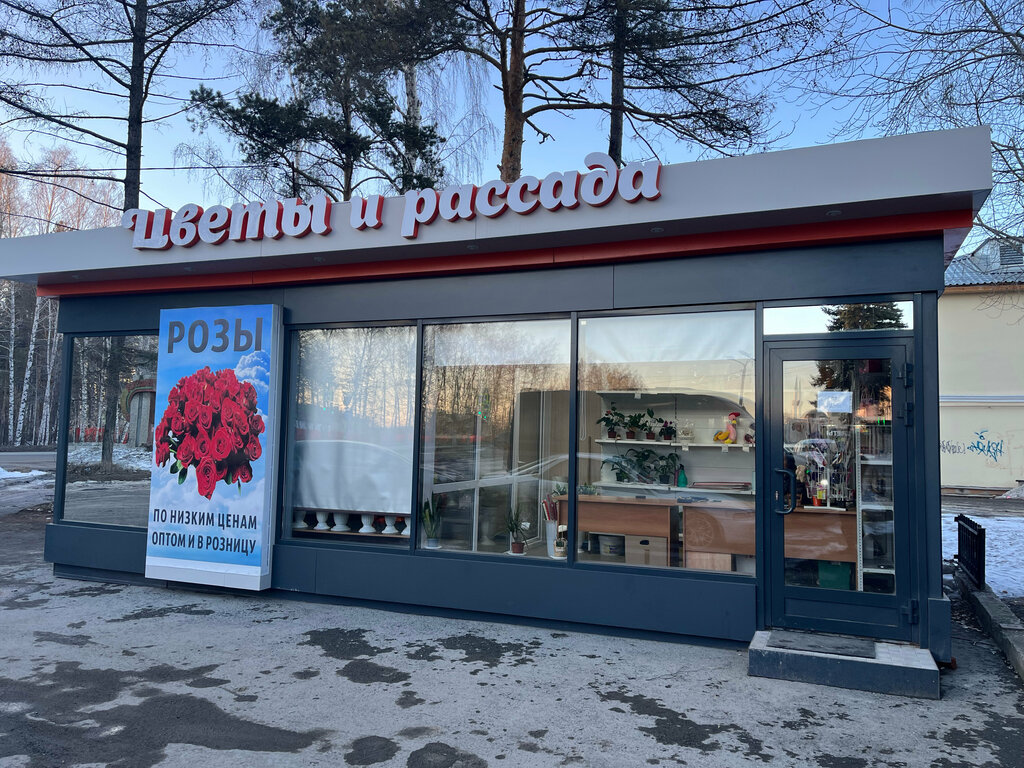 Çiçekçiler Цветы и рассада, Verhniaya Pyşma, foto