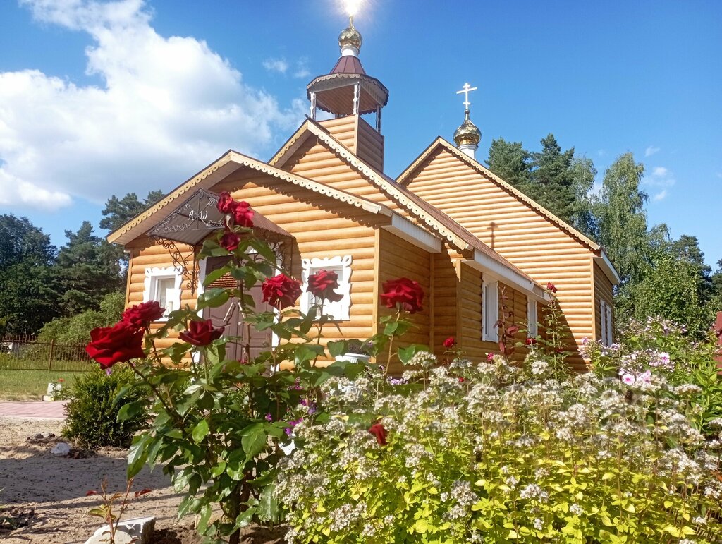 Ortodoks kiliseleri Церковь Николая Чудотворца, Nijegorodskaya oblastı, foto
