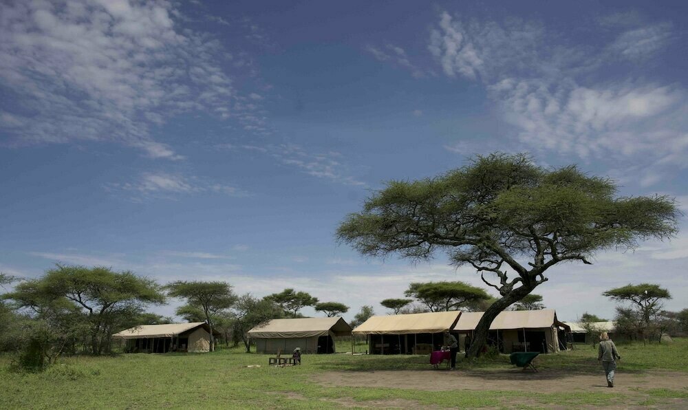 Otel The Royal Migration Camp, Dünya, foto