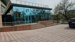 Starbucks (Táýke Han dańǵyly No:13), kahve dükkanları  Çimkent'ten (Şımkent'ten)