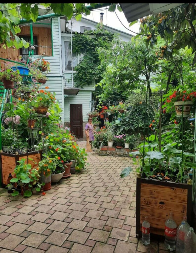 Otel Журавлики, Soçi, foto