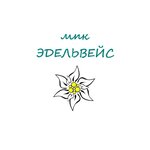 Эдельвейс (ulitsa Kalinina No:62, mikrorayon Staroye Almetyevo), çocuk ve gençlik merkezleri  Almetyevsk'ten (Elmet'ten)