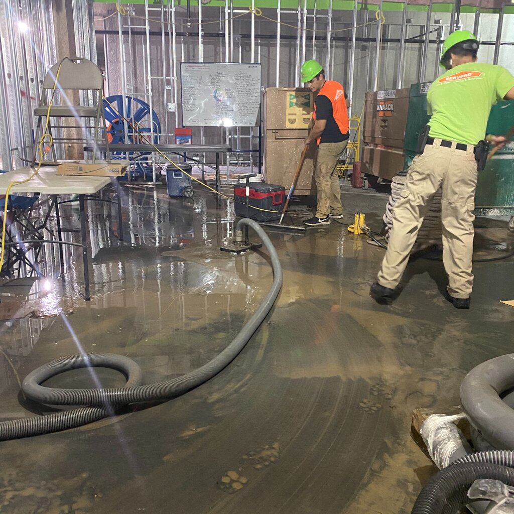 Halı yıkamacılar Servpro of Tampa Southeast, Tampa, foto