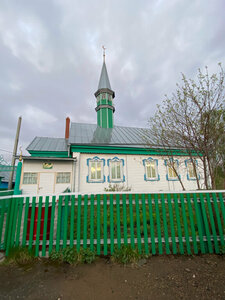 Мечеть (Republic of Tatarstan, Rybno-Slobodskiy rayon, Bolshemashlyakskoye selskoye poseleniye, selo Bolshoy Mashlyak, ulitsa Lenina), cami  Tataristan'dan