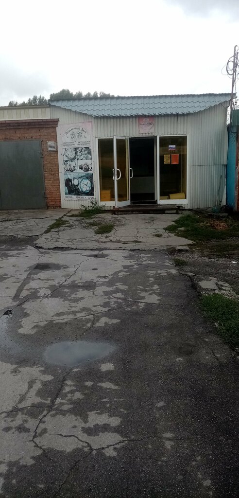Dondurulmuş gıda firmaları Pelmeni Yard, Novosibirskaya oblastı, foto