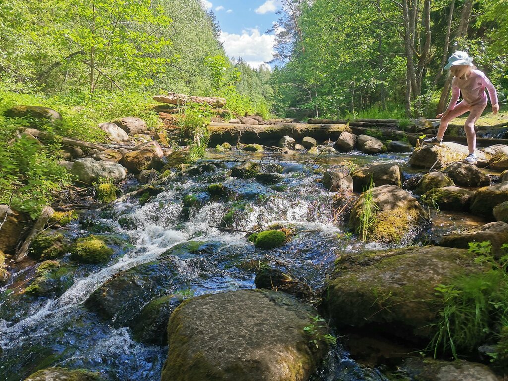 Tatil köyleri Golubyie Oziora, Minskaya oblastı, foto