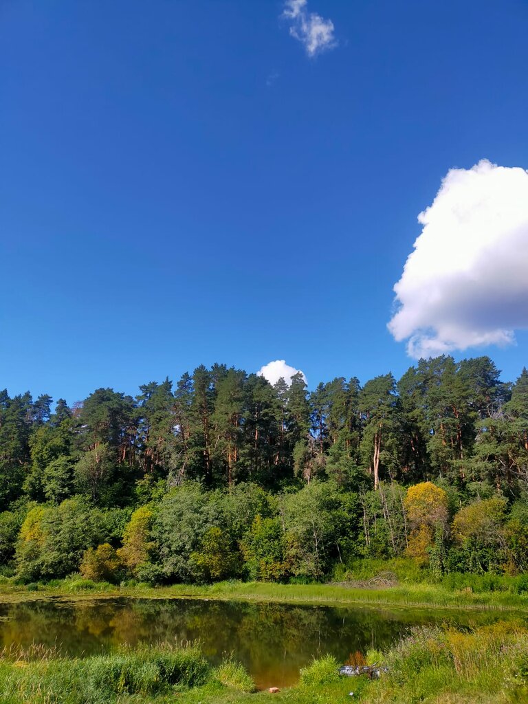 Resort oteller, tesisler Dom otdykha Kosmodrom, Moskova ve Moskovskaya oblastı, foto