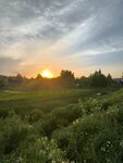 Spring, stream (Vladimir Region, Aleksandrovskiy rayon, reka Chyornaya), pınar, çay  Strunino'dan