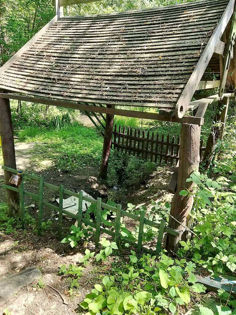 Pınar, çay Spring, stream, Volgogradskaya oblastı, foto