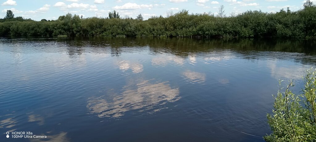 Plaj Пляж, Brianskaya oblastı, foto