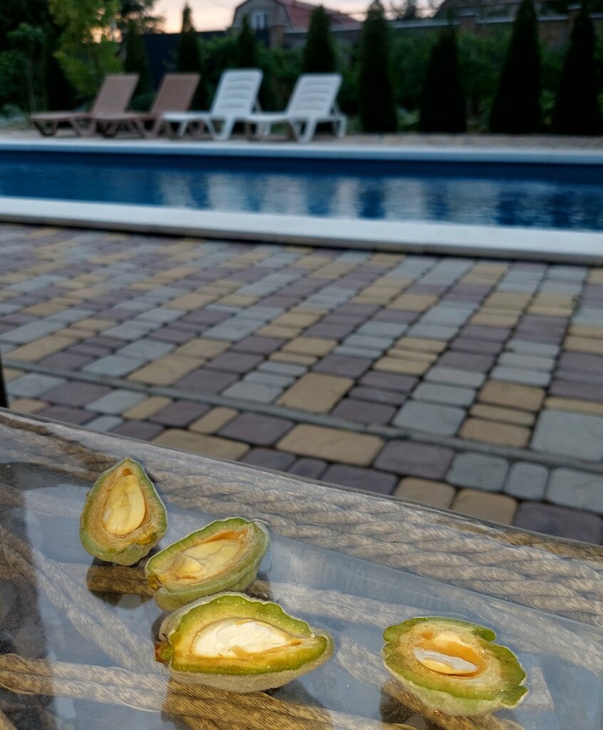 Resort oteller, tesisler Nash dom Otdykha, Kırım Cumhuriyeti, foto