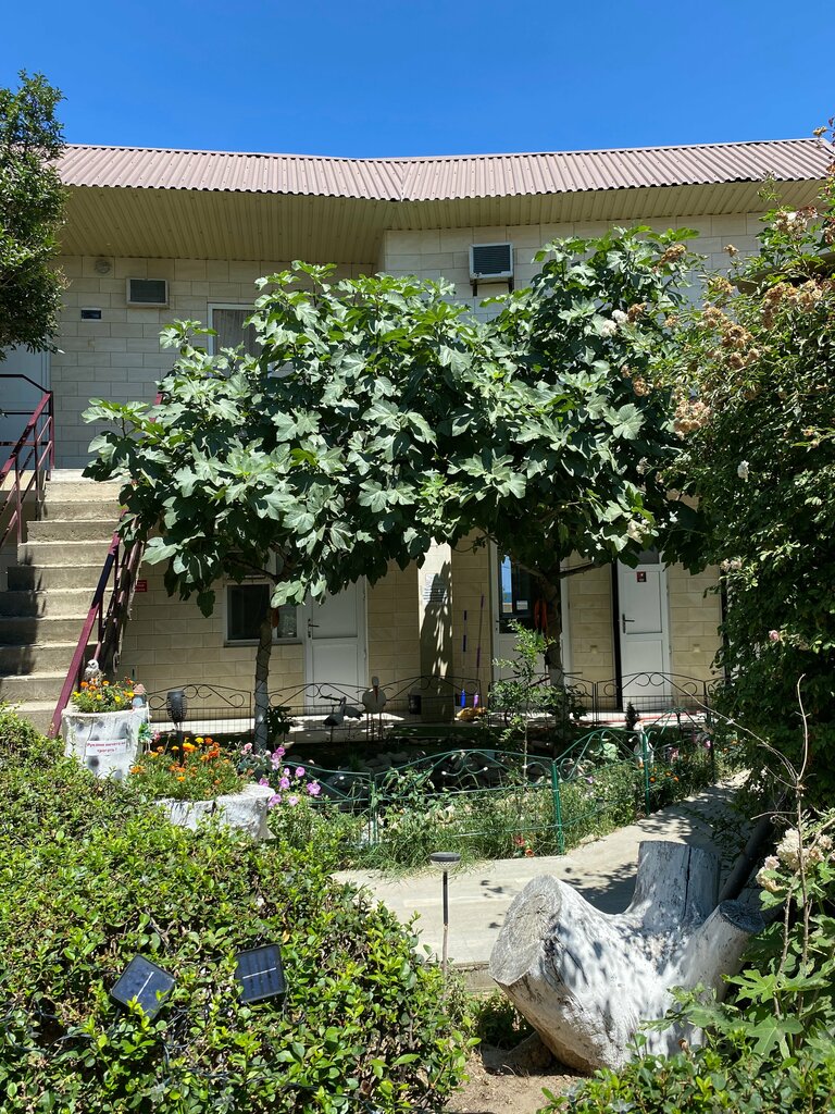 Kafe Кафе, Izberbash, foto