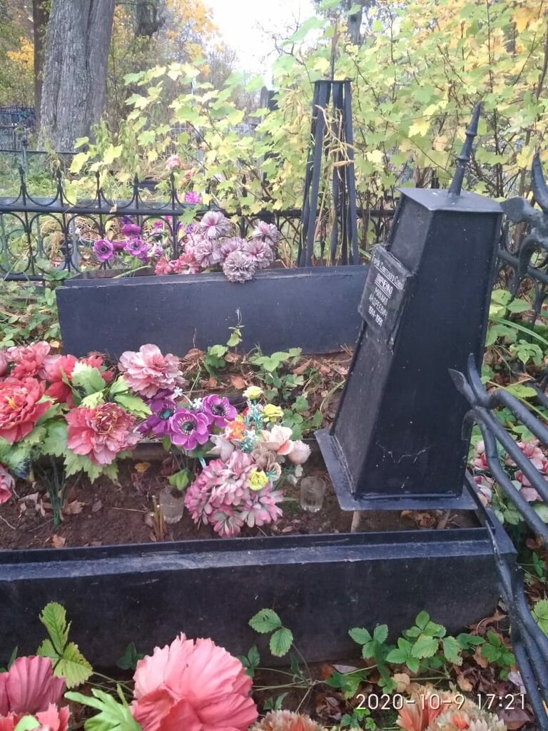 Anıt, heykel Могила Героя Советского Союза М.А. Ларченко, Novgorodskaya oblastı, foto