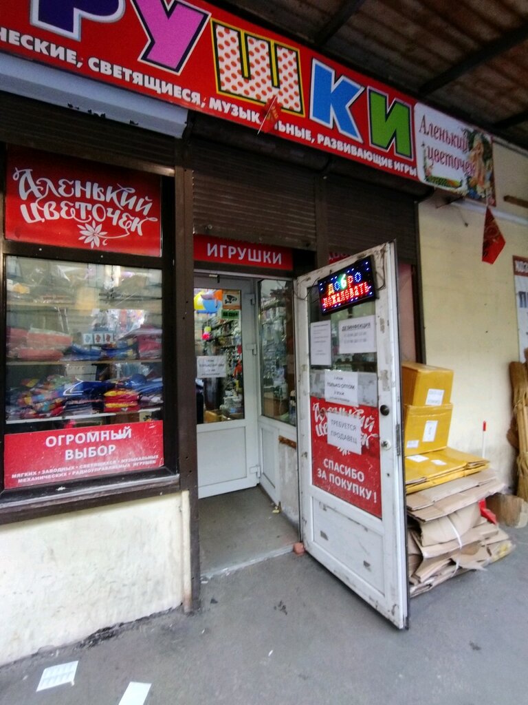 Çocuk oyunları ve oyuncakları Аленький цветочек, Saint‑Petersburg, foto
