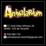 Animalarium (Calle José Hernández Alfonso No:26, Santa Cruz de Tenerife), evcil hayvan kuaförleri  Santa Cruz de Tenerife'den