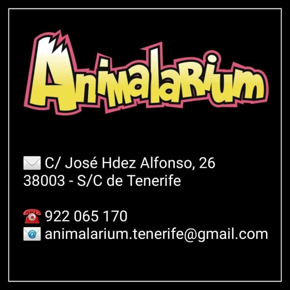 Evcil hayvan kuaförleri Animalarium, Santa Cruz de Tenerife, foto