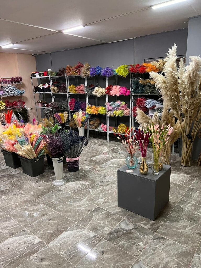 Yapay bitki ve çiçek Rad Dried Flowers, Krasnodar, foto