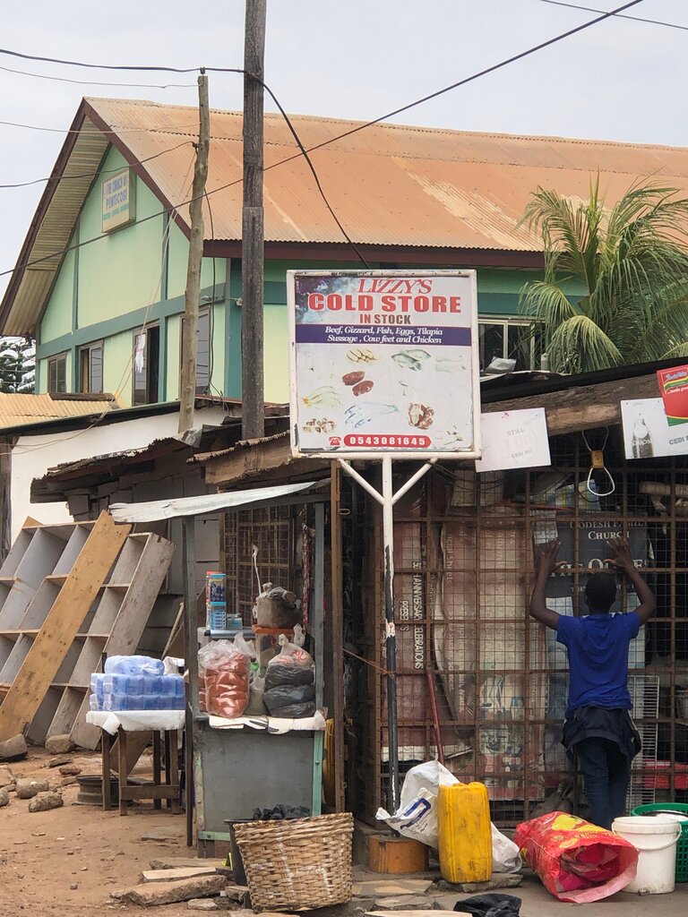 Dondurulmuş gıda firmaları Lizzy’s Cold Store, Dünya, foto