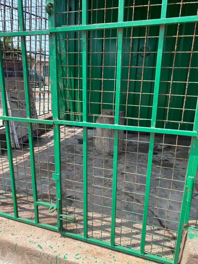 Dondurulmuş gıda firmaları In God we trust, Dünya, foto