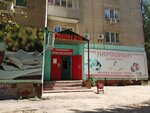 Pitvnaya (Khasanovskaya ulitsa No:31), bira dükkanı  Samara'dan