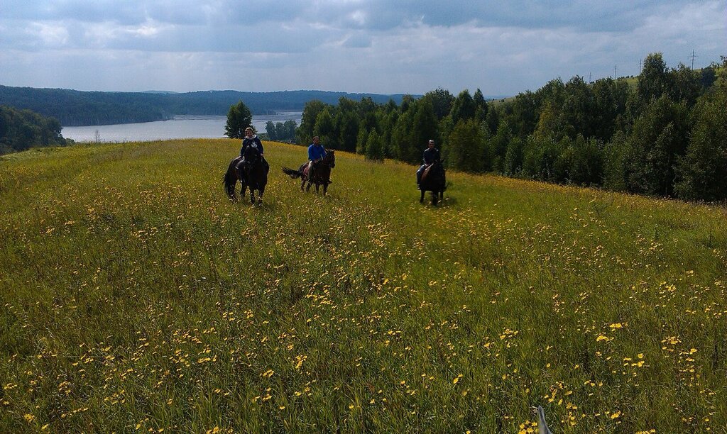 At ve binicilik kulüpleri Gratsiya, chastny konny klub, Novokuznetsk, foto