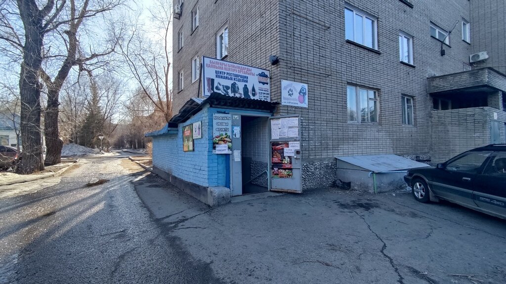 Evcil hayvan kuaförleri Cute dog, Öskemen (Ust‑Kamenogorsk), foto