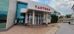 Tartuga (Isa Akhunbayev Street No:125/1), kafe  Bişkek'ten